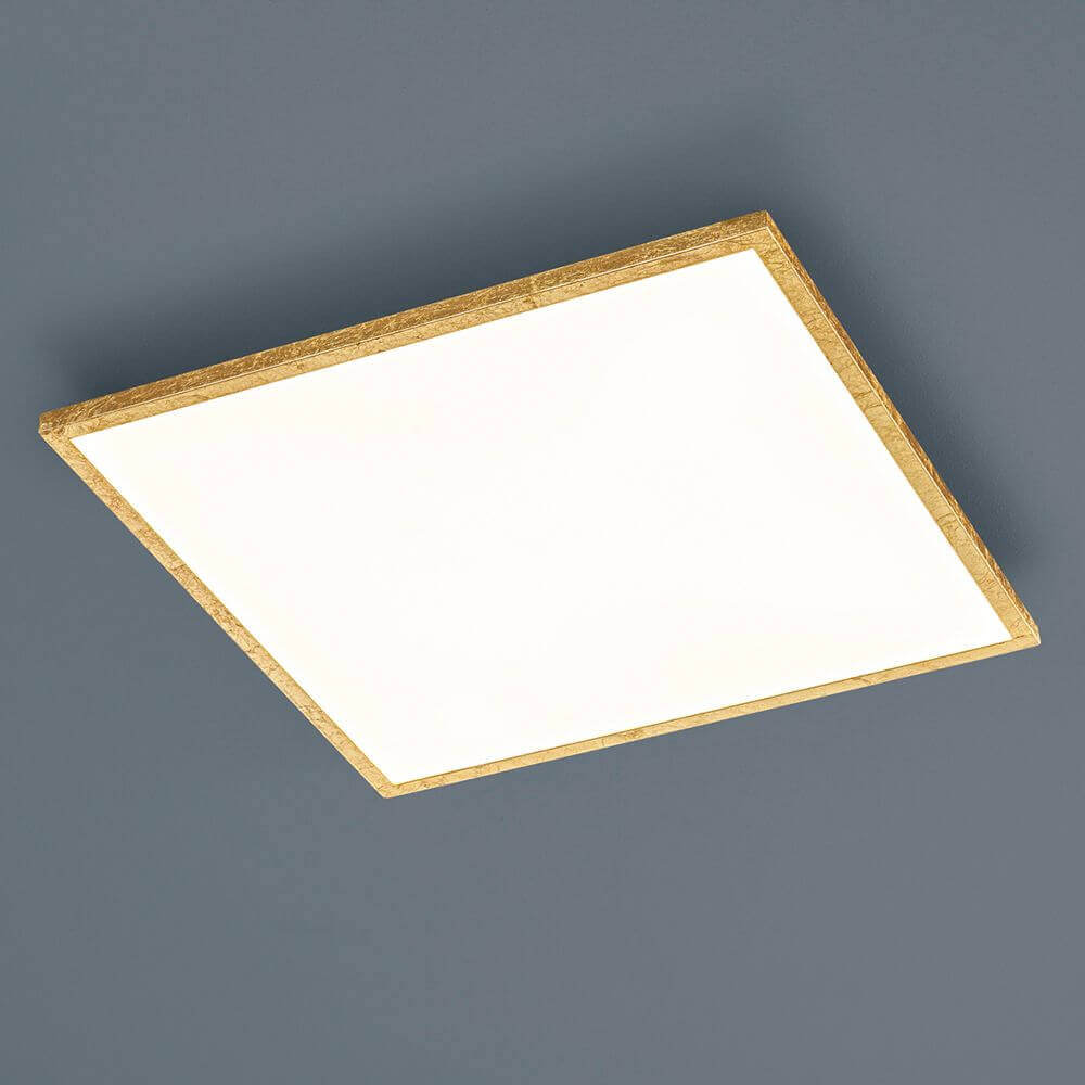 Buy LED ceiling light rack gold gold online – skapetze® - Licht trifft ...