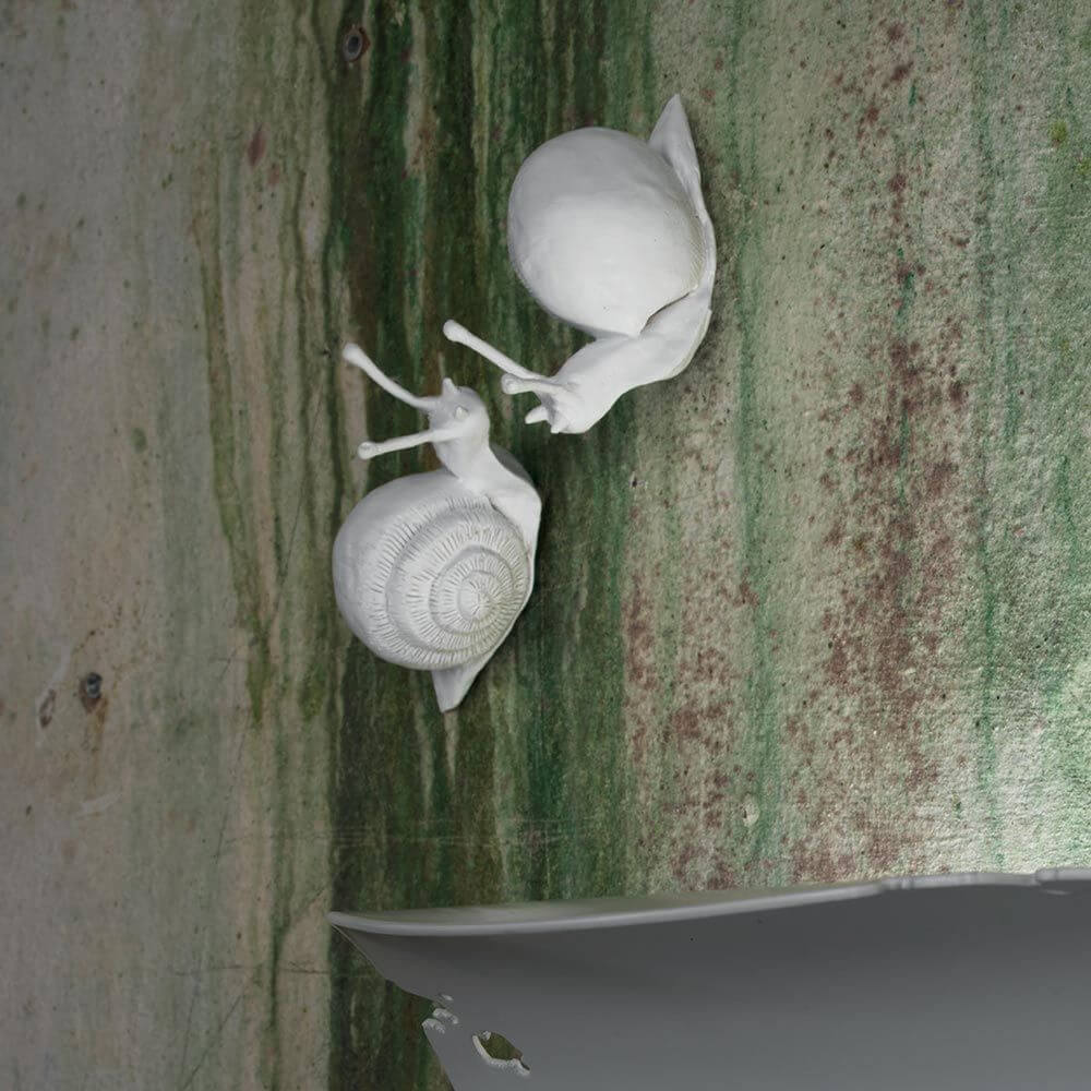 Va-Lentina Schnecke online kaufen | skapetze®